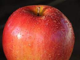 Article test - Wikisphere